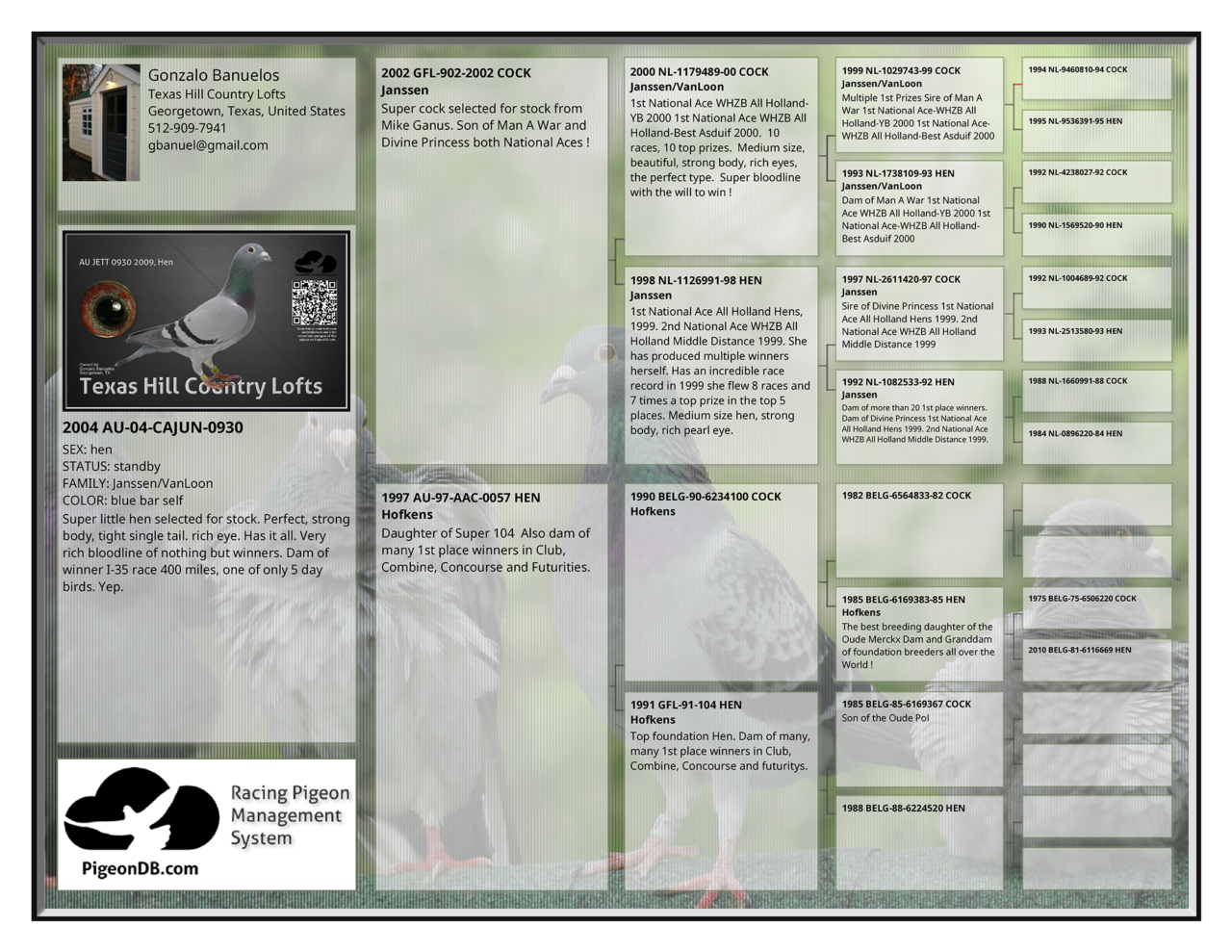 Complete Racing Pigeon Management Solution - PigeonDB.com