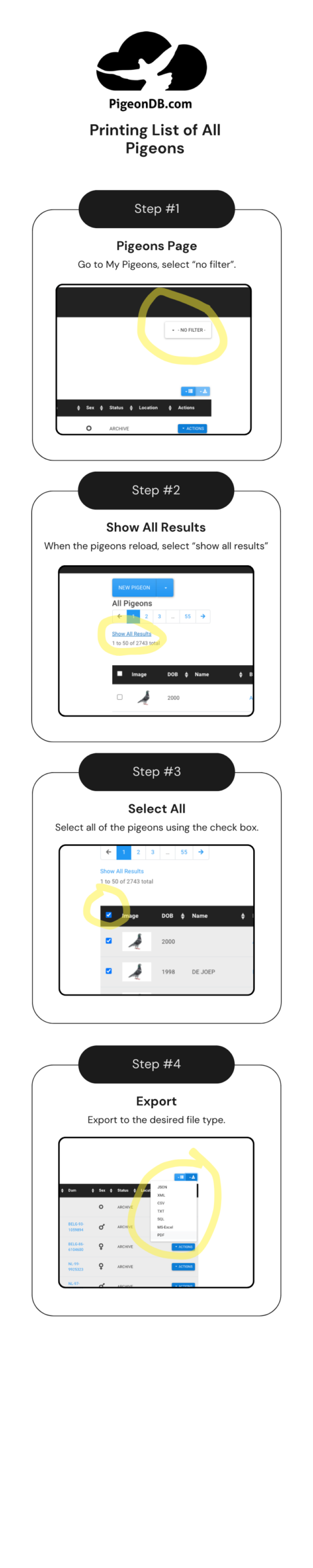 Tutorial Infographics - PigeonDB.com